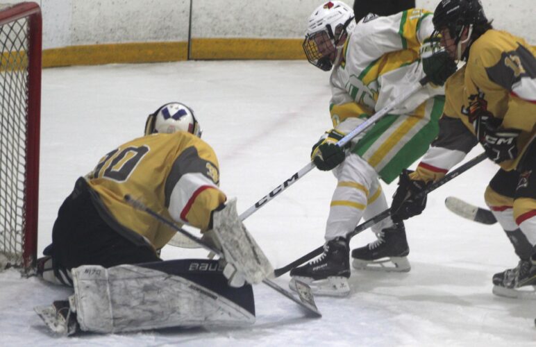 GOAL, NOT COAL: Cards avoid 0-3 start with 6-2 win | News, Sports, Jobs ...